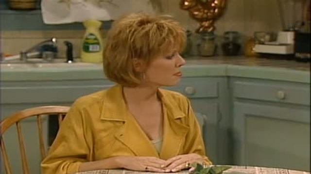 ALF S01E06 (For Your Eyes