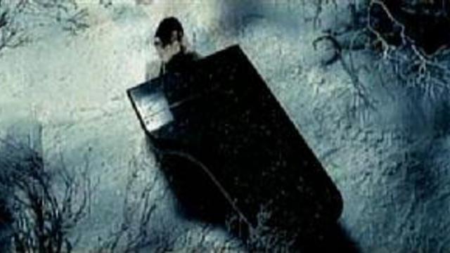 Evanescence-Lithium