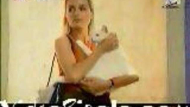 Челюсти (фильм ужасов)