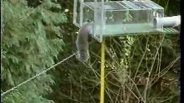 Миссия невыполнима
